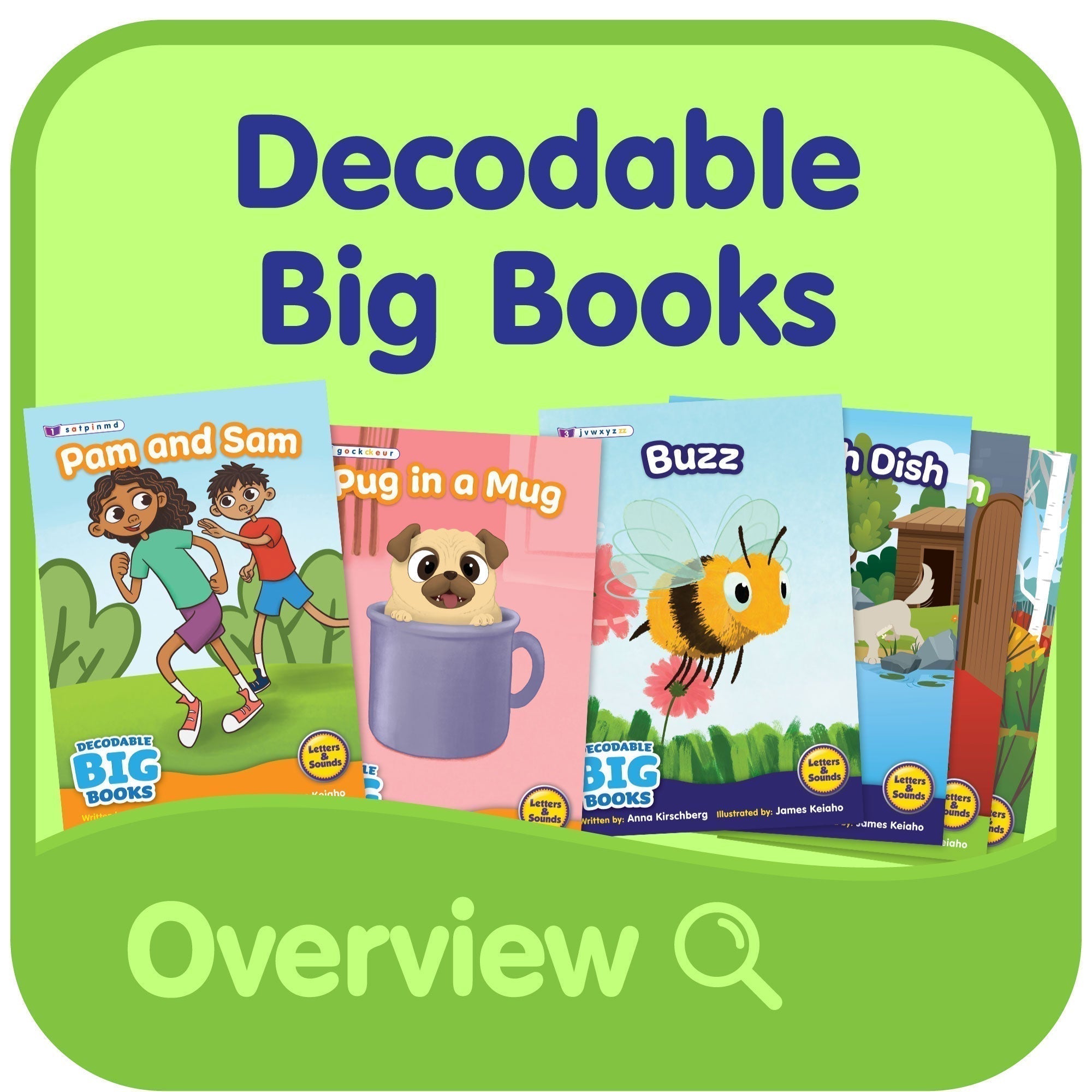 Decodable Big Books Overview